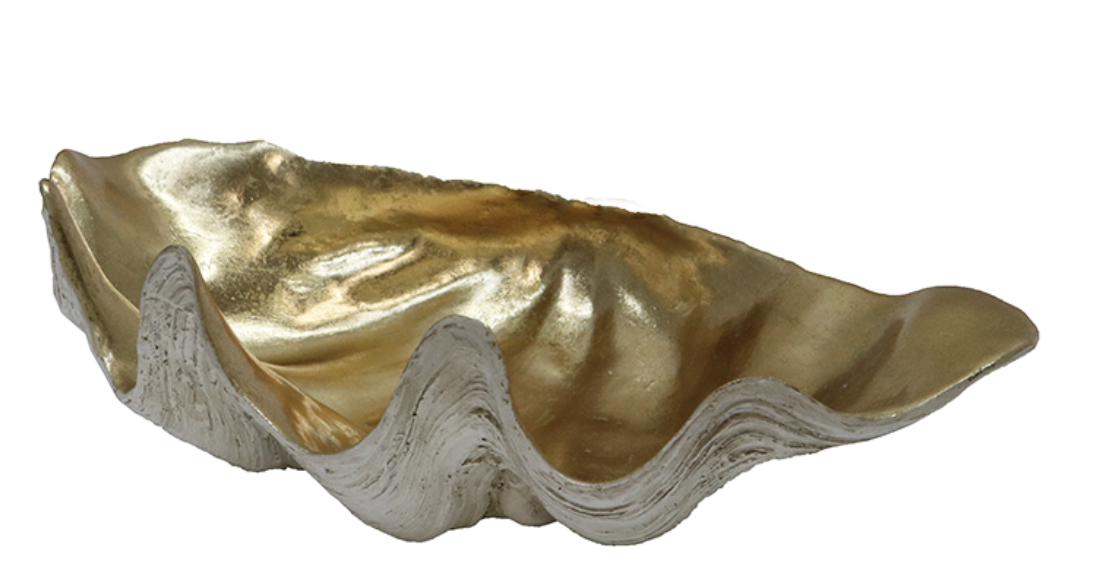 Clam Shell Champagne | M.C.F Interiors